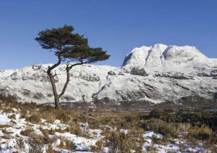 Homepage | Highland Hospice