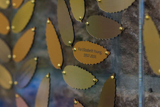 Memory Tree | Highland Hospice