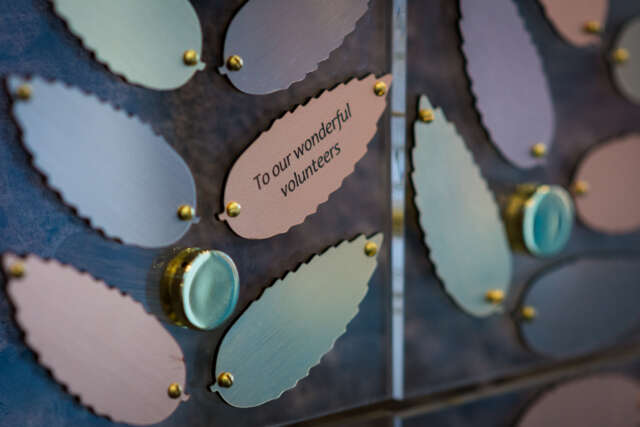 Memory Tree | Highland Hospice