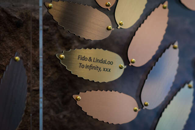 Memory Tree | Highland Hospice